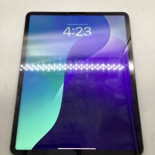 Apple iPad Pro 5th Gen A2379 MHNR3LL/A 12.9"128GB Wi-Fi Cellular-Space ...