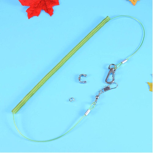Ensemble D'anneaux De Jambe Corde Volante Laisse Perroquet Élastique | eBay