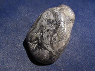 DINOSAUR GIZZARD STONE / EXOLITH / GASTROLITH - ULTRA RARE - 988 GRAMS ...