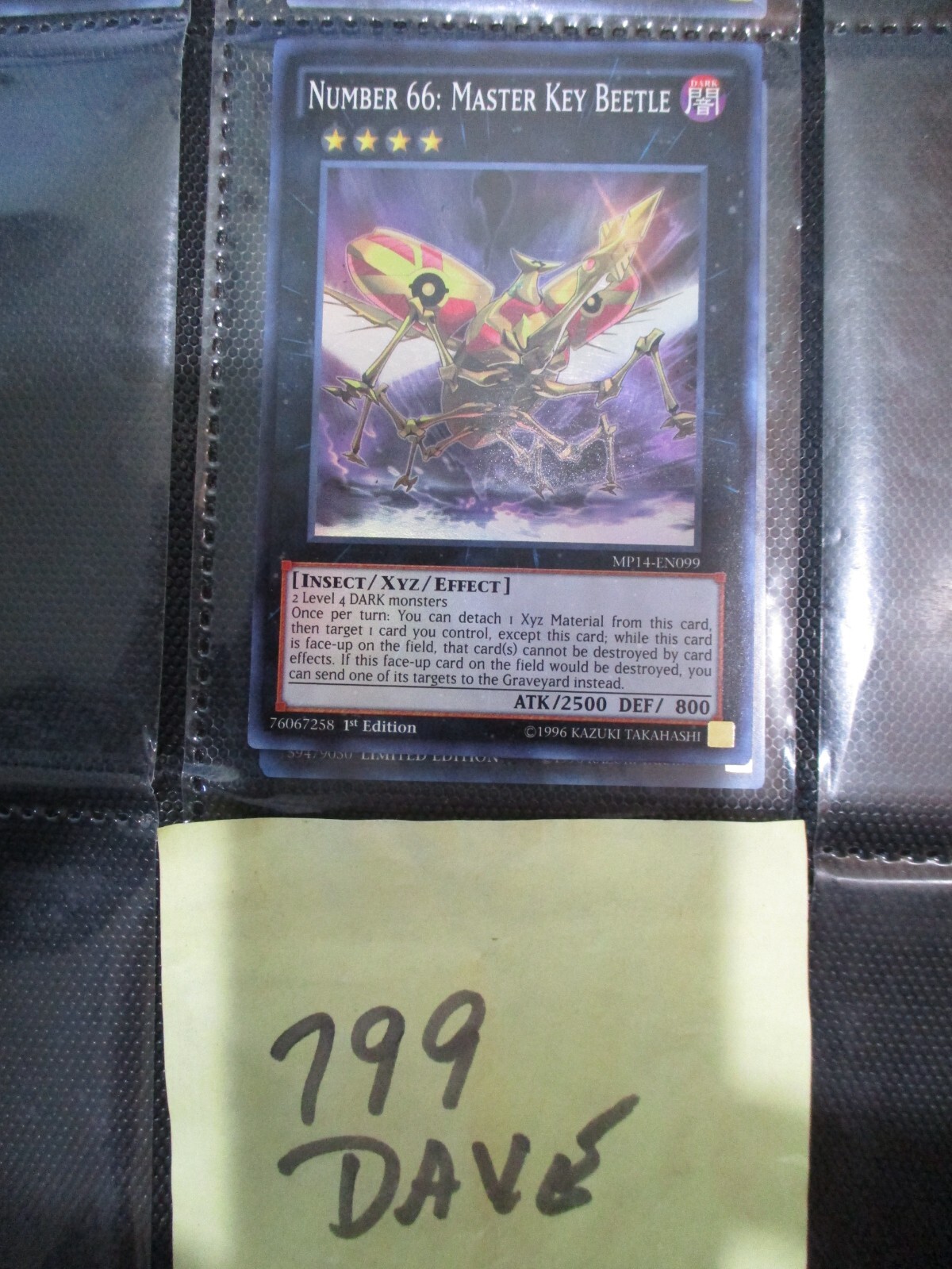 Number 66 Master Key Beetle