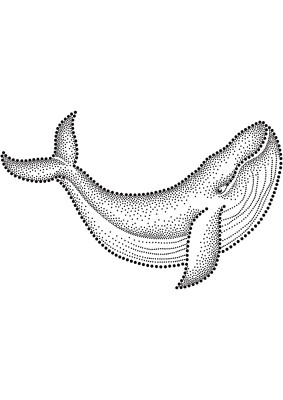 Autoaufkleber Sticker Wal Aufkleber | eBay