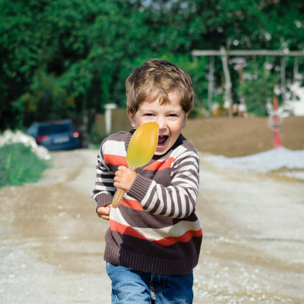 2 PCS Simulated Fruit Sandbox Toy Mini Maracas Percussion Instrument ...