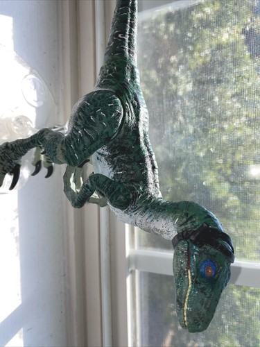 Custom Amber Collection Velociraptor Delta | eBay