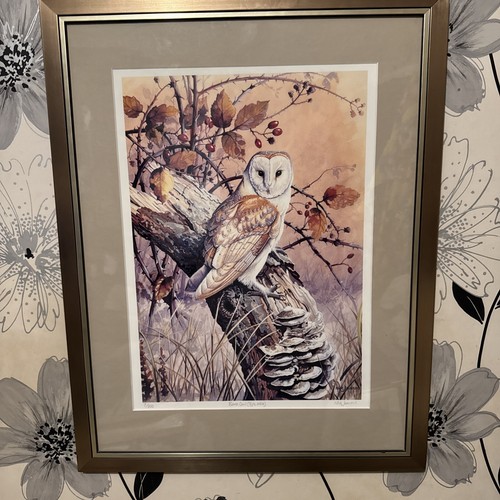 A Signed Limited Edition Print Of A Barn Owl (Tyto Alba) By Nick ...