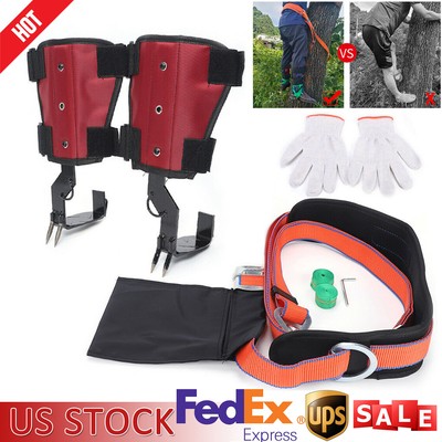 Belts, Straps & Harnesses - Pole Tree Climbing Safety
