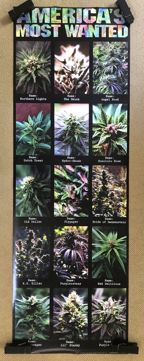 Weed Strain Posters