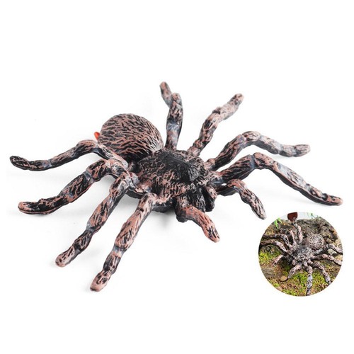 Halloween Spider Toy Insect Realistic Large Fake Props Realistic2025 ...