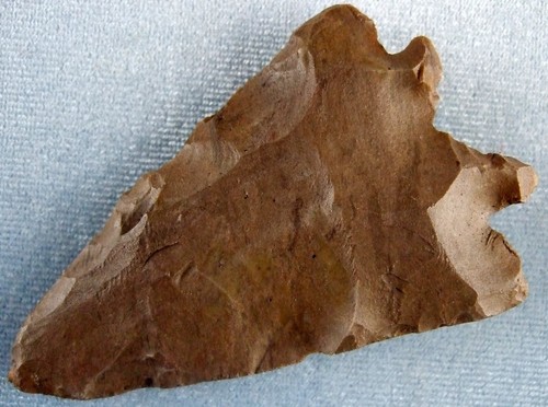 Fine Old Authentic Alabama Buzzard Roost Creek with COA Arrowheads ...