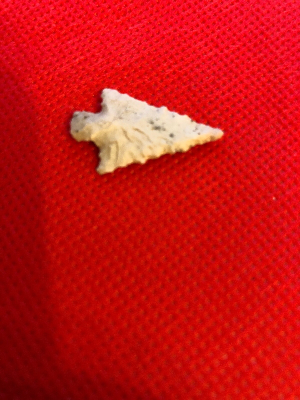 Authentic Bird Point Arrowhead from East Texas from the Caddo Indians ...
