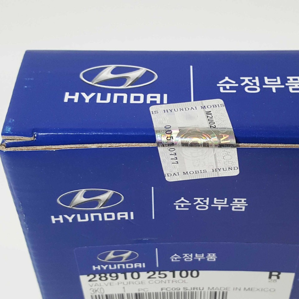 Genuine 2891025100 Purge Control Valve For HYUNDAI KIA 2.0L 2.4L 2006 ...