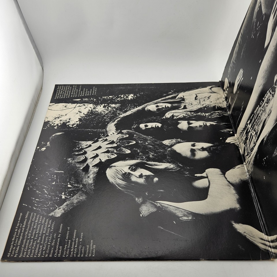 Steely Dan Pretzel Logic Vinyl Lp Abcd 808 First Pressing Gatefold 1974 4302