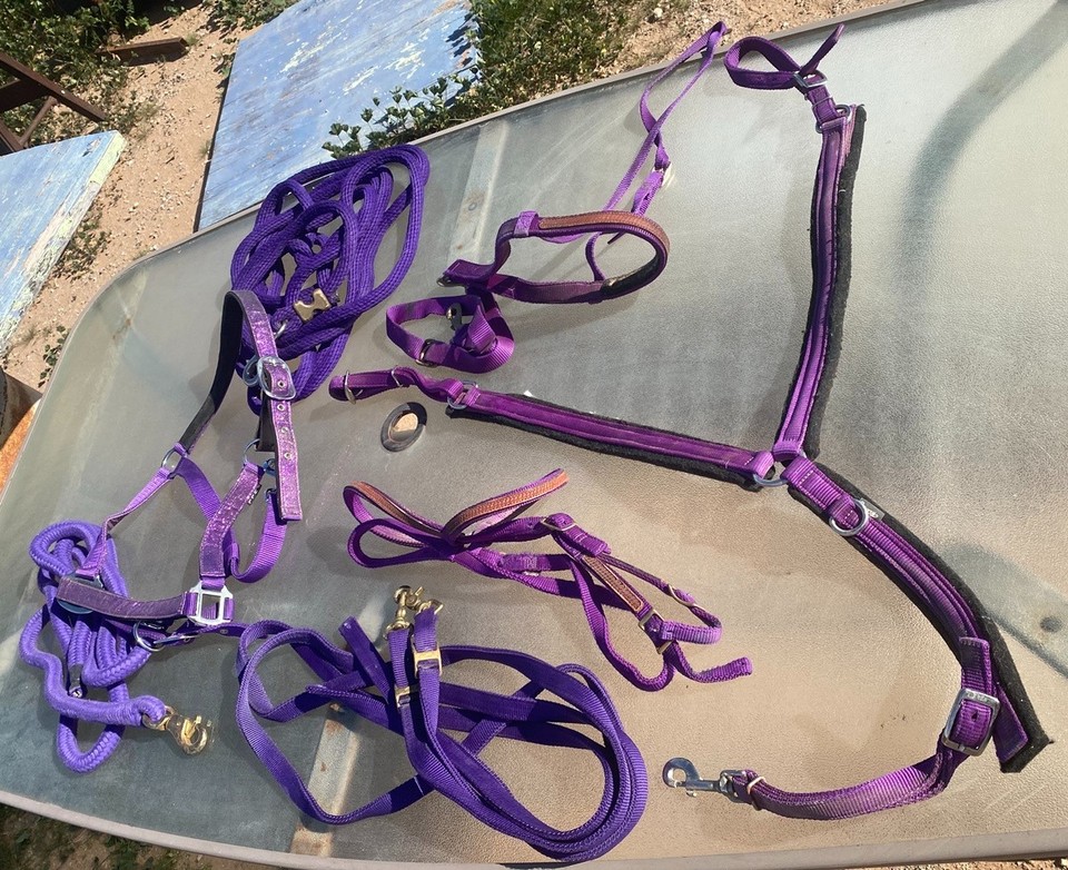 PURPLE Tack LOT Halter Lead - Weaver Headstall & Breast Collar Lounge ...