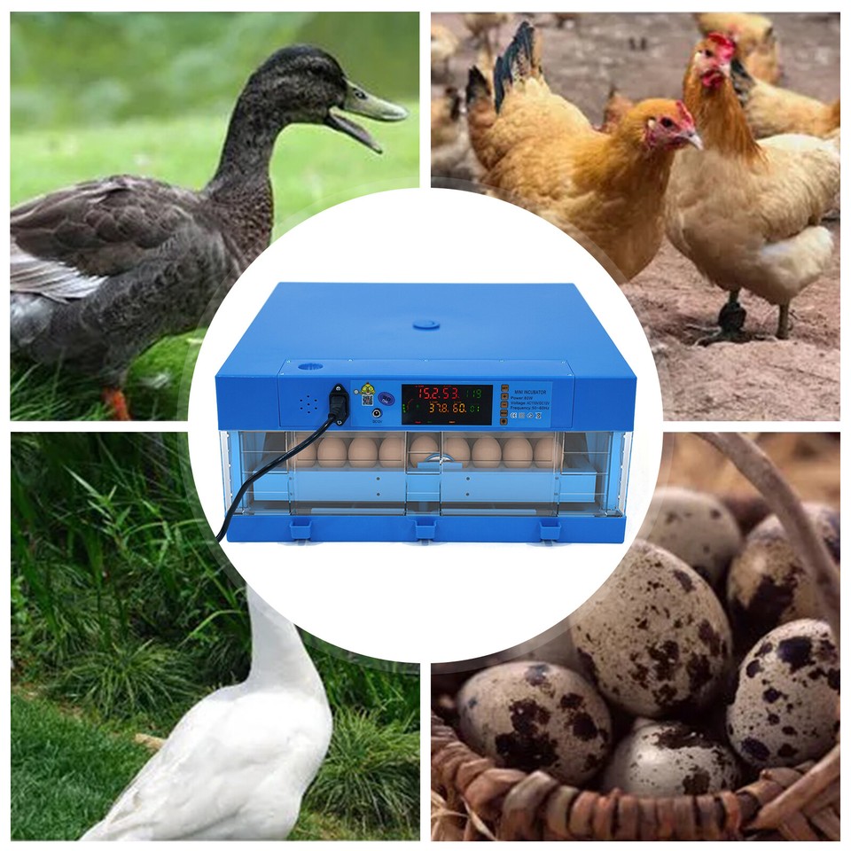 Chicken Quail Chick Hatcher Incubators Automatic Egg Incubator For ...
