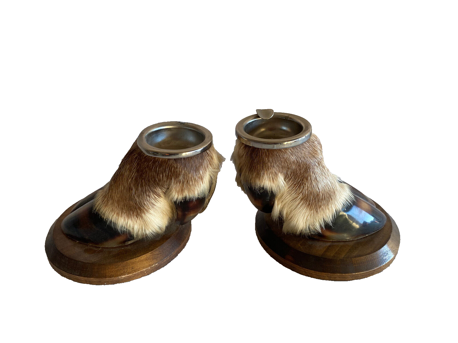 Vintage Moose Hoof Hooves Taxidermy Ashtray Smoking Ashtrays Complete ...
