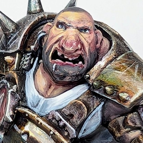 Blood Bowl Ogre Games Workshop Warhammer – Pro Painted Display ...