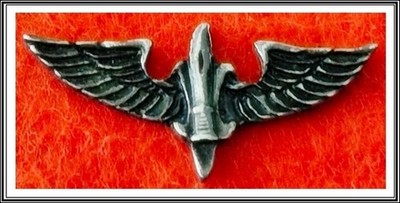 Israel Army IDF Shaked Patrol Unit 424 Lapel Pin Badge | eBay