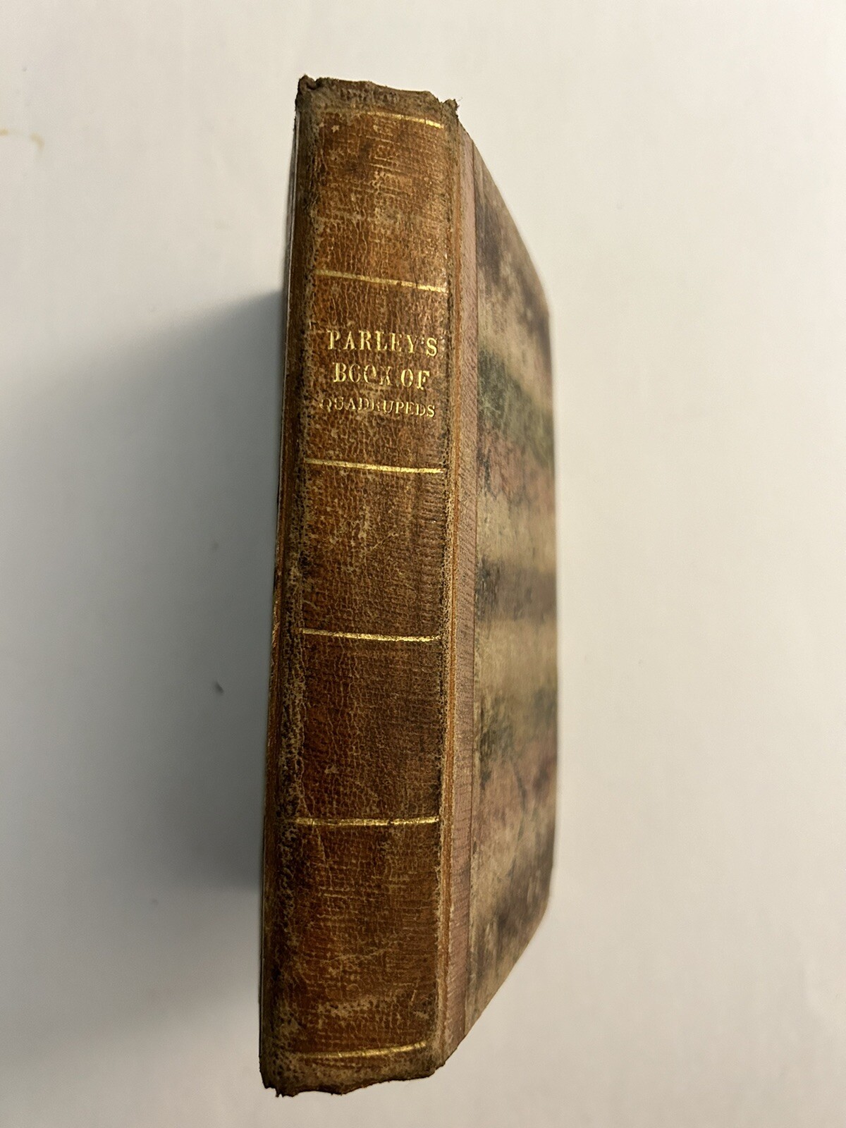 Parley’s Book of Quadrupeds for Youth 1832 - Hard Cover | eBay