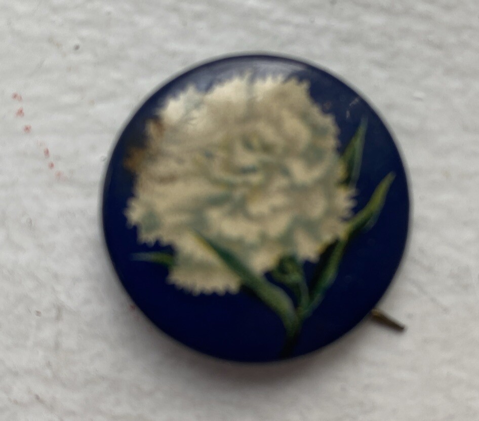 MOTHERS DAY CARNATION PINBACK VINTAGE BUTTON 7/8" | eBay