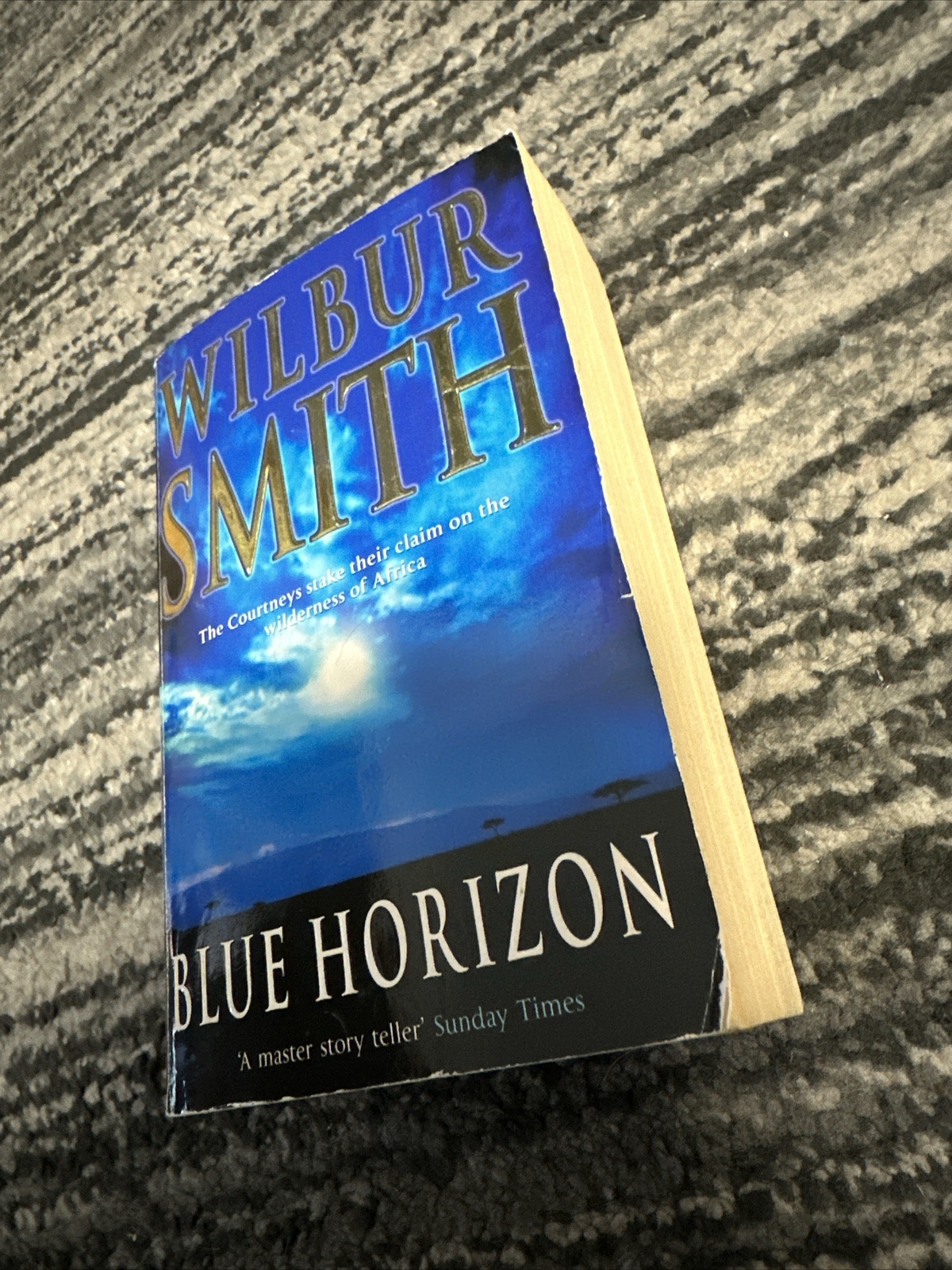 Blue Horizon by Wilbur Smith (Paperback, 2004) for sale online | eBay