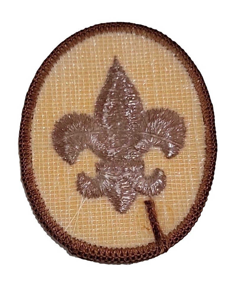 Scout Rank foggy plastic back BSA Rank Patch Badge - 1231 | eBay