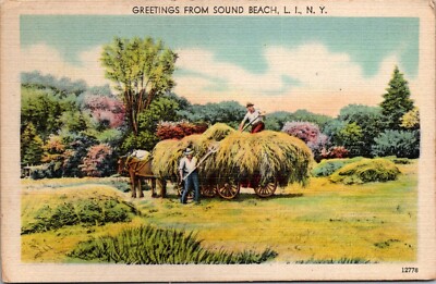 Greetings from Sound Beach LI NY Color Linen 2 men haying Postcard 1946 ...