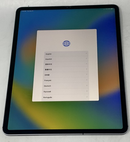 Apple iPad Pro 3rd Gen A2014 256GB Wi-Fi + Cell 12.9" Space Gray -Fair ...