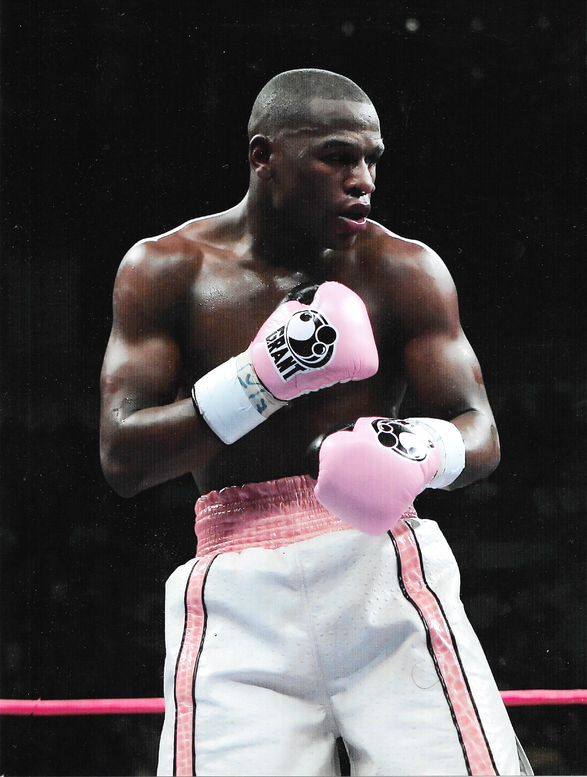 Pretty Boy Floyd Mayweather