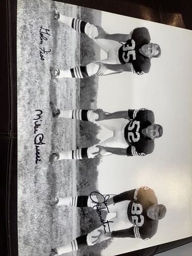 1964 Browns D-line 16x20 Jim Houston, Galen Fiss And Mike Lucci Signed ...