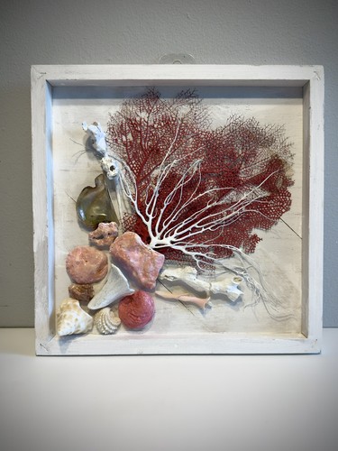 White shadow box with sea shell, coral and sea fan, Framed coral ...