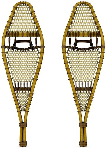 Earlex Steam Generator Wood Bending Steamer Project 1.3 Gallon Tank ...