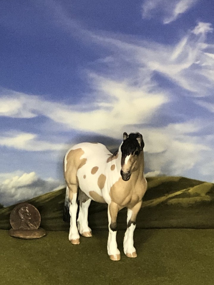 OOAK Breyer cm Custom Stablemate Horse Giorgio x D. Williams* Pinto ...