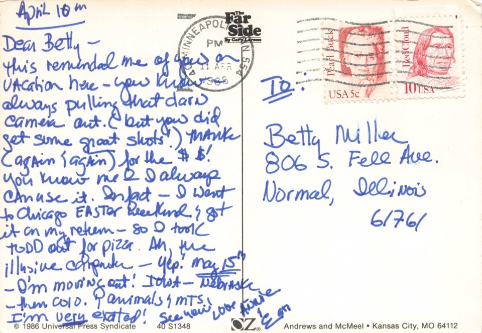 Postcard The Far Side Wolves Photograph Funny Novelty Humor Laugh Gary ...