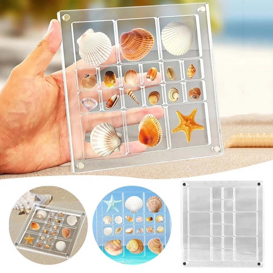 Souvenir Storage Home Display Acrylic Magnetic Seashell Display Box ...