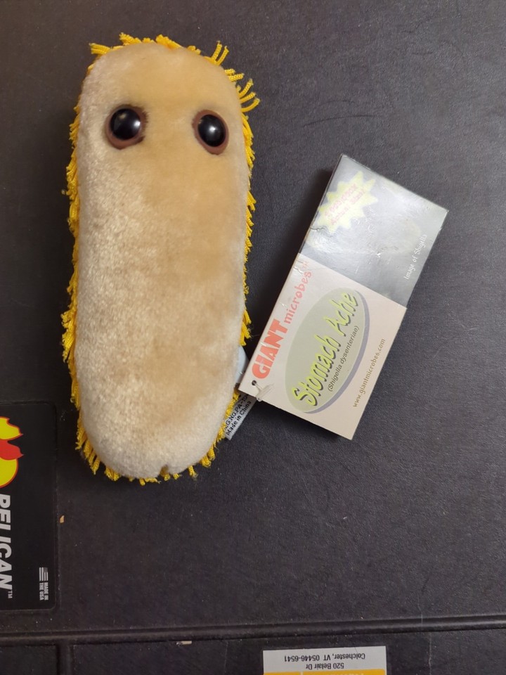 Vintage 2003 Giant Microbes Plush Stomach Ache Disease Virus Toy 6 ...