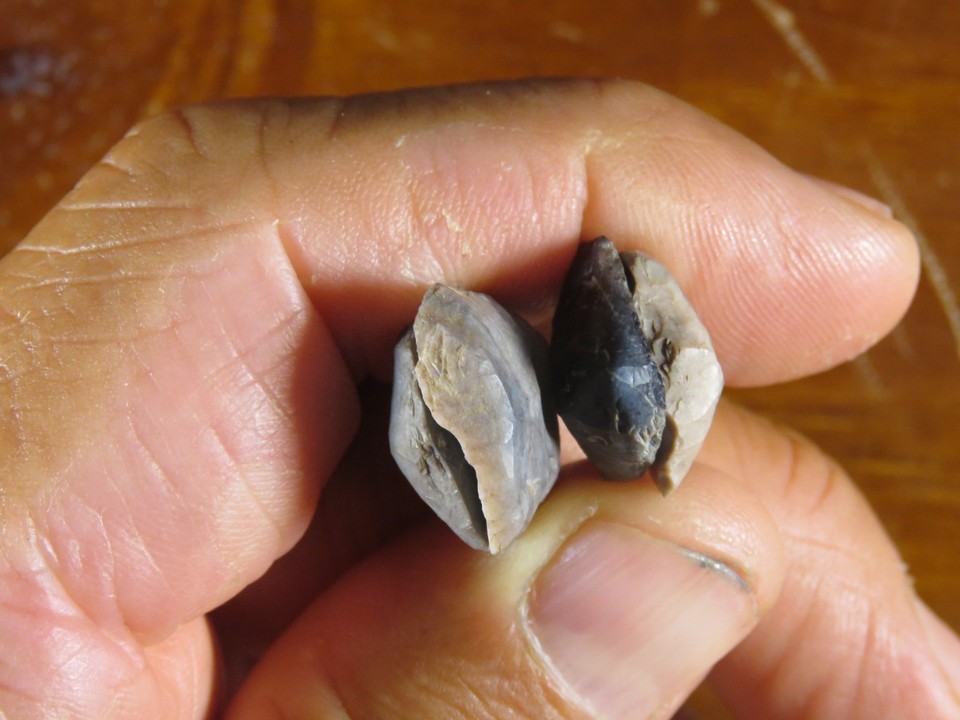 Nice group of 10 Oneota uniface snub-nose scrapers, Saline County ...