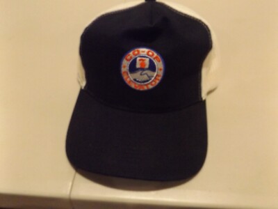 Vintage--CO-OP ELEVATOR, Hat Cap Adjustable Strap Back | eBay