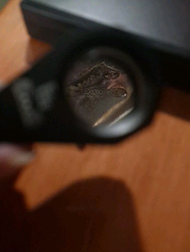 Heavy Sterling Silver Saturno Red Enamel Tortoise Pin Made In Italy | eBay