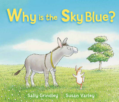 Why Is the Sky Blue? by Sally Grindley (2007, Trade Paperback) for sale ...