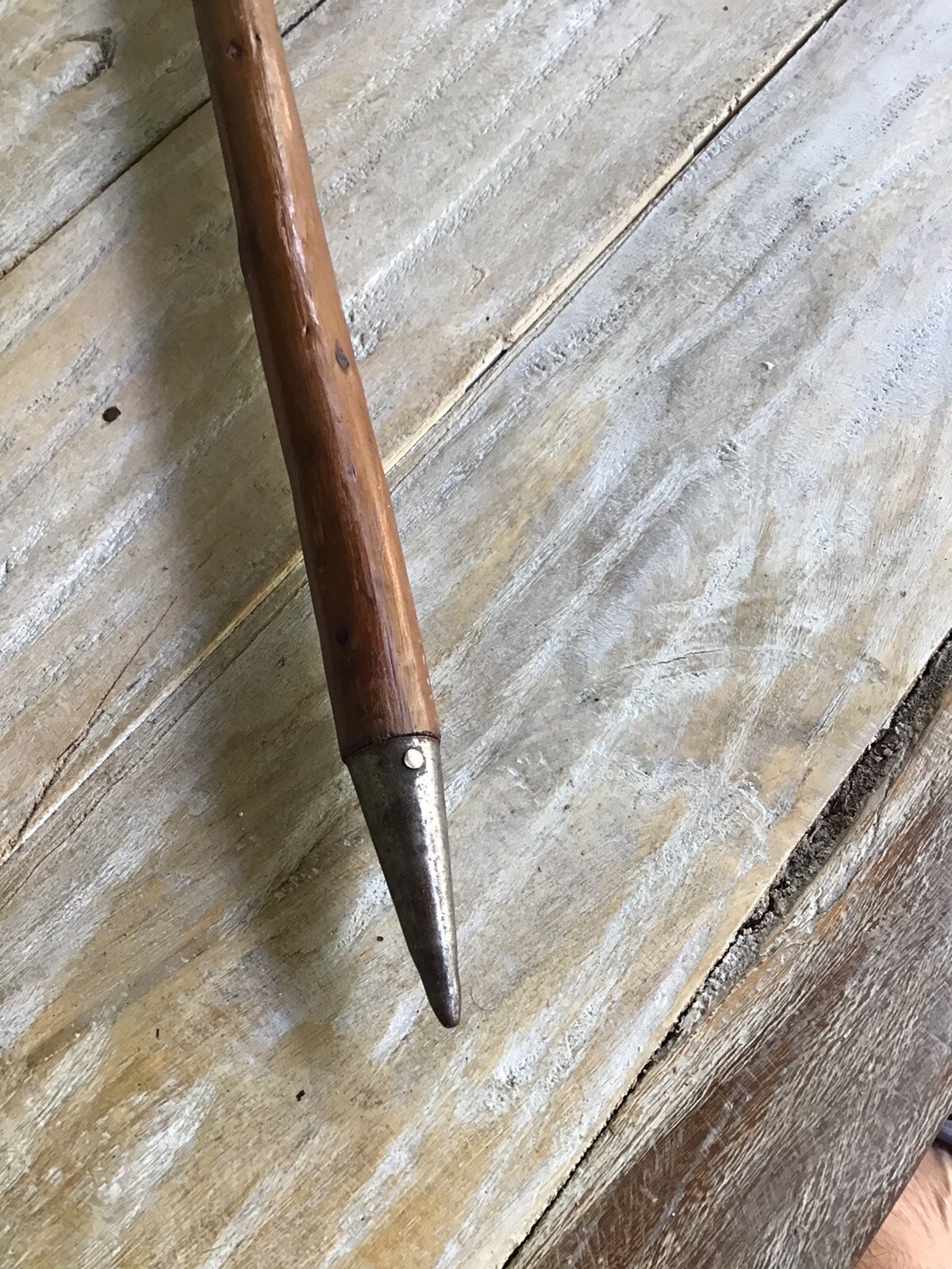 1930 Vintage alpine walking stick with metal medallio… - Gem