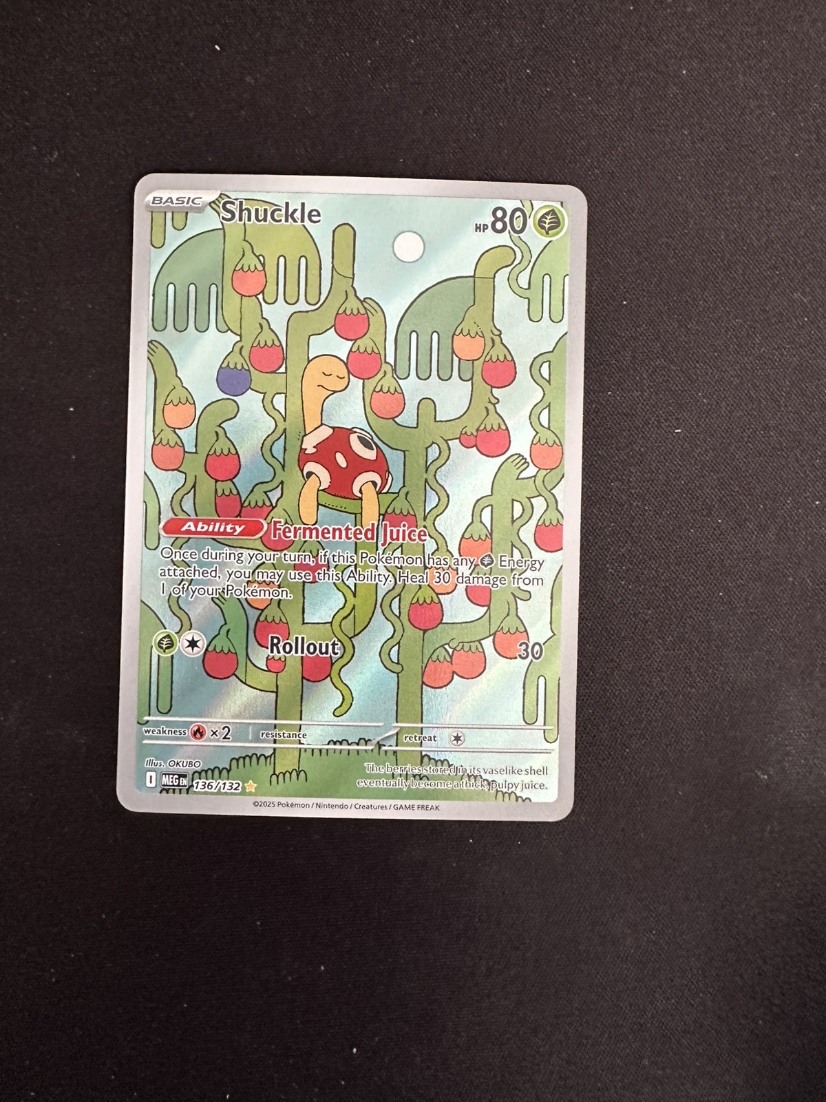 Shuckle 2025 Mega Evolution #136/132 Illustration Rare Price Guide ...