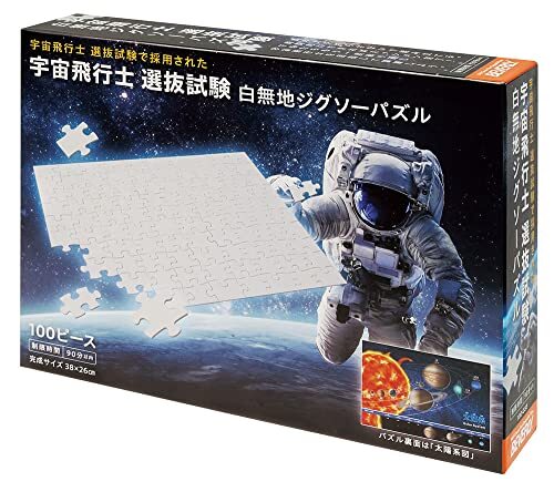 Astronaut Selection Test White Plain 100 Piece Puzzle Beverly 100-033 ...