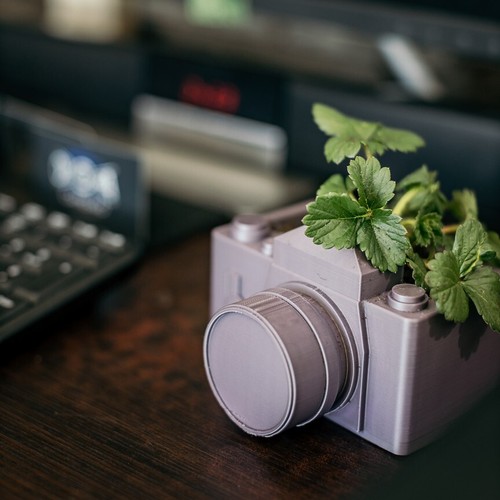 Medium Camera Planter - Perfect for Photography Lovers, Camera ...