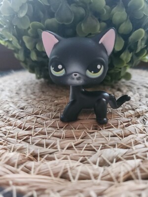 LPS #336 LITTLEST PETSHOP ORIGINAL AUTHENTIC CHAT EUROPEEN EUROPEAN CAT ...