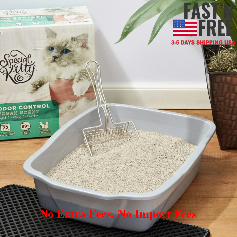 [HOT SALE] Special Kitty Scoopable Tight Clumping Cat Litter, Fresh ...