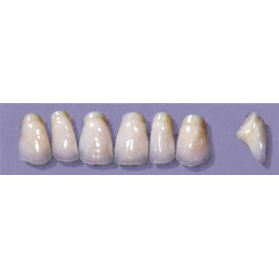 4 x Myerson Anterior Teeth Dental Prostheses Denture #PM8/60 (1 x 6 ...