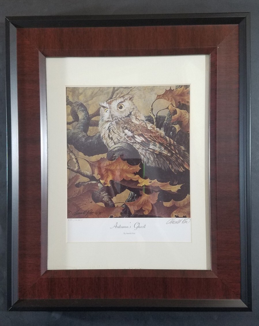 Harold Roe Autumn's Ghost Owl Print Signed And Numbered Ducks Unlimited ...