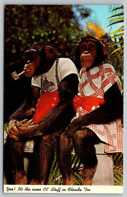 Postcard Yes! It's The Same Ol' Stuff In Florida Zoo Monkey Jungle VTG ...