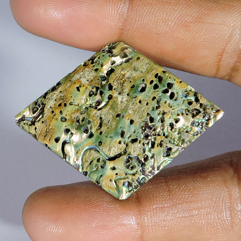 14.80Cts Natural Multi Flashy Fossil Abalone Shell Fancy Cabochon ...