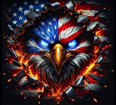 DIAMOND ART KIT of PATRIOTIC EAGLE BURSTING THROUGH AMERICAN FLAG 50cm ...