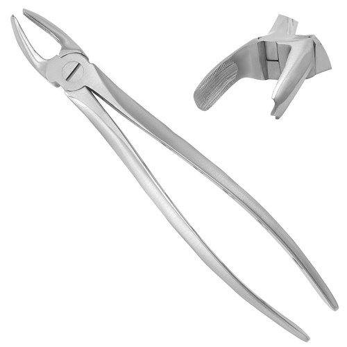 Adult Upper Right Molar Extracting Plier, Dental Extraction Forcep Fig ...